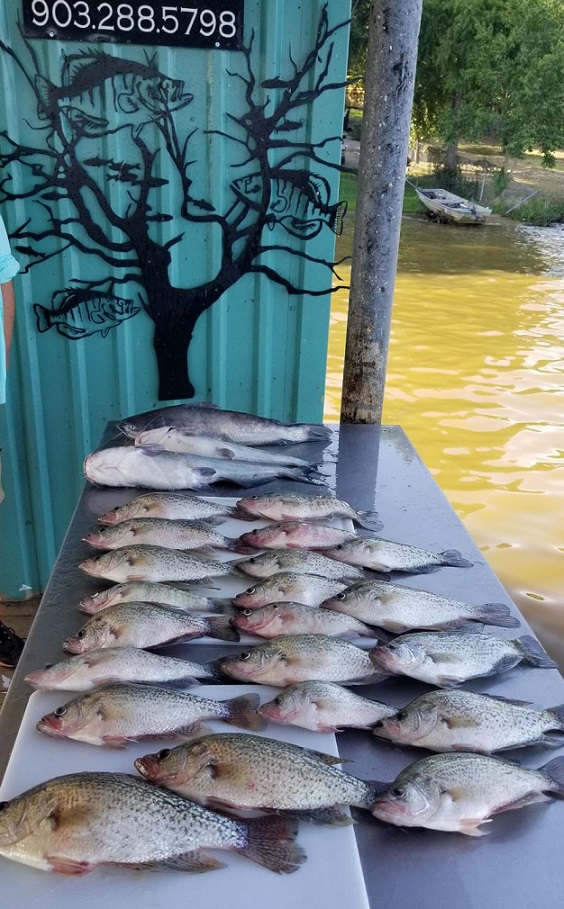 Book Your Adventure | BigCrappie Fishing | Fishing guide and ...