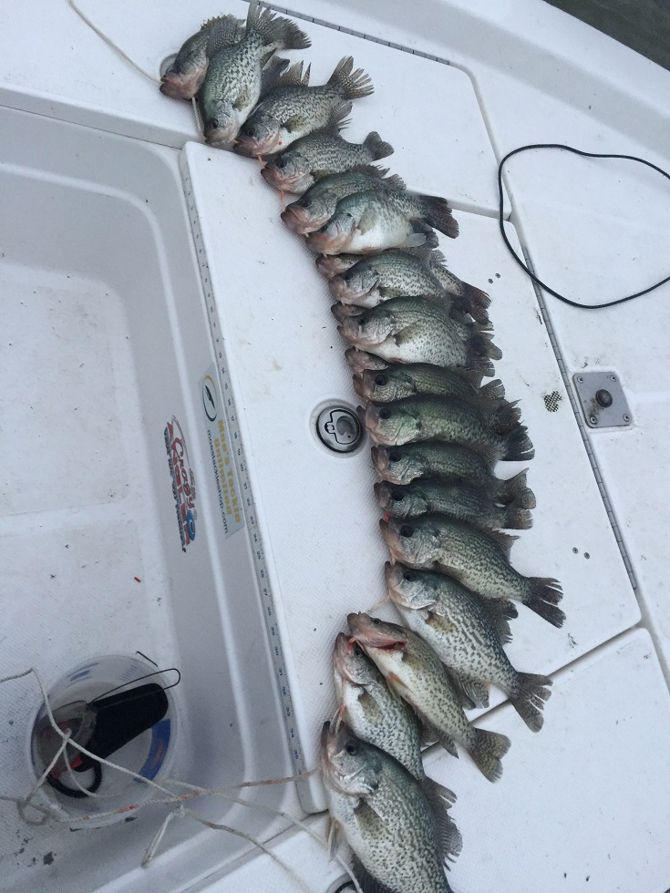 Photos | DallasFishingCharters.com