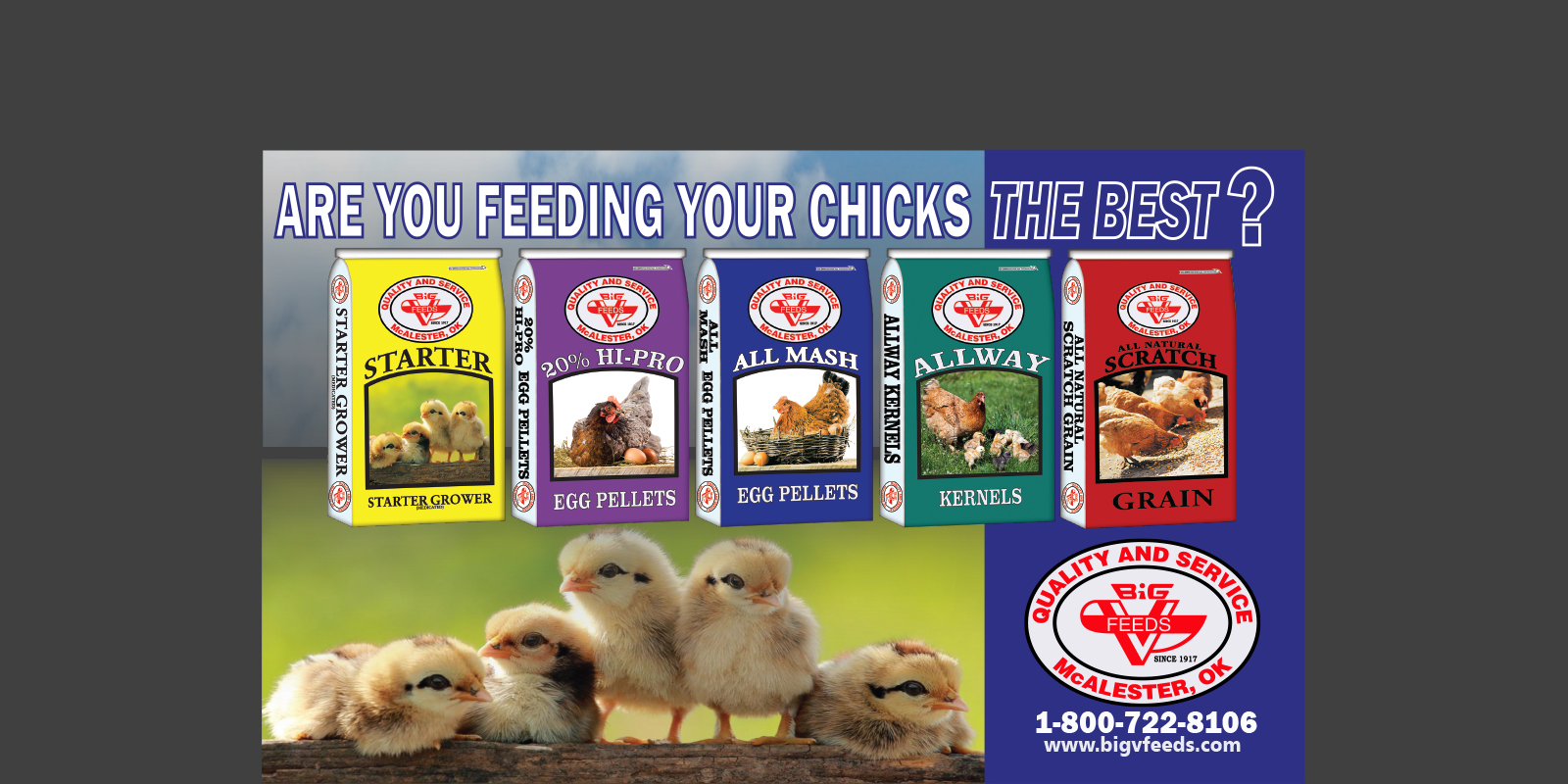 We are Big V Feeds | Big V Feeds provide a full line of livestock feeds, processed grains and ...