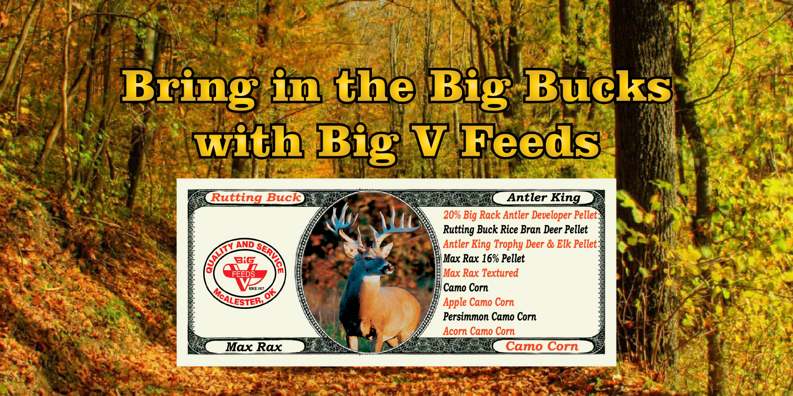 We are Big V Feeds | Big V Feeds provide a full line of livestock feeds ...