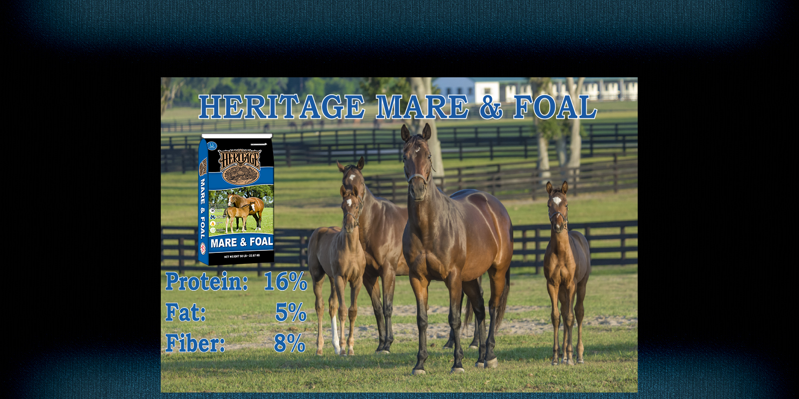 We are Big V Feeds | Big V Feeds provide a full line of livestock feeds ...