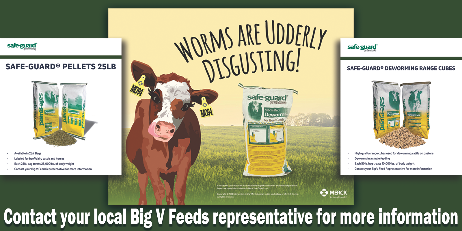 We are Big V Feeds | Big V Feeds provide a full line of livestock feeds ...