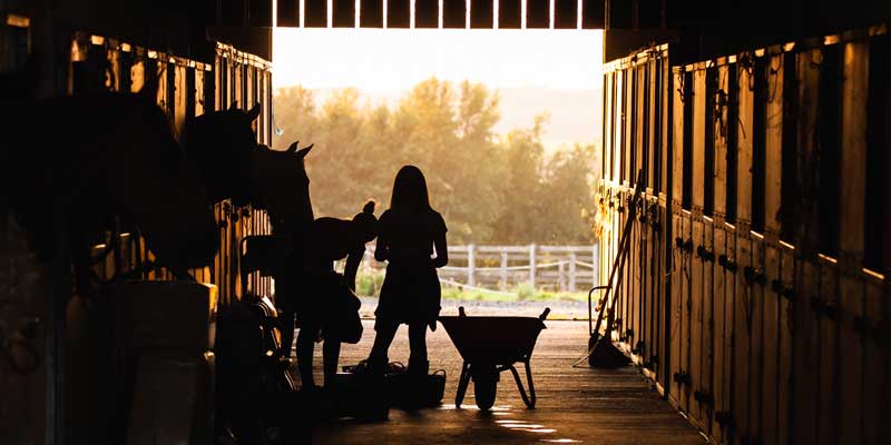 Installation Manual | Shoo-fly Inc. | Flying Insect Control Designed by ...